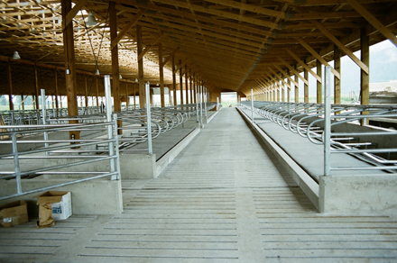 Livestock Slats - Parkview